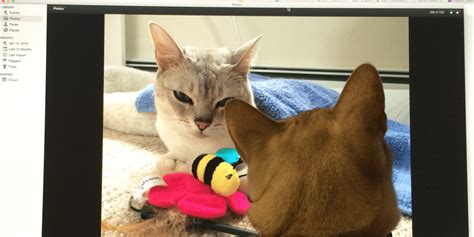 Clean Up Async Requests In `useeffect` Hooks Dev Community