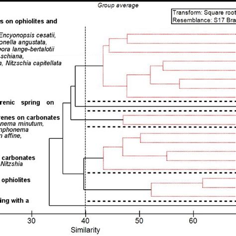 Hierarchical Group Average Clustering Based On Algal Assemblages In The
