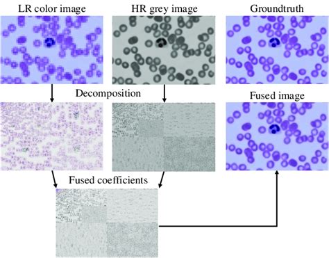 wavelet multi resolution color fusion of a lowresolution image and a download scientific
