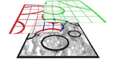 Illustration Of The Stitching And Calibration Scenario The Same Region