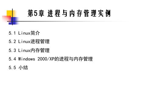 第5章 进程与内存管理实例 word文档在线阅读与下载 无忧文档
