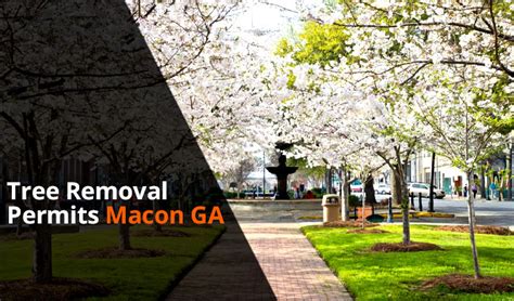 Tree Removal Laws Permit Macon GA Quick Summary