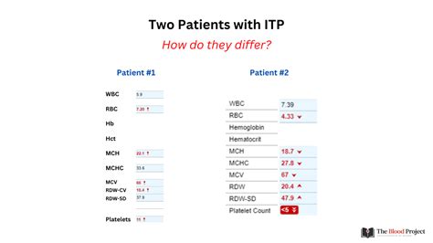 CBC Case Study The Blood Project