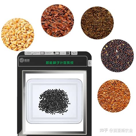 智能种子计数系统有什么应用场景 知乎