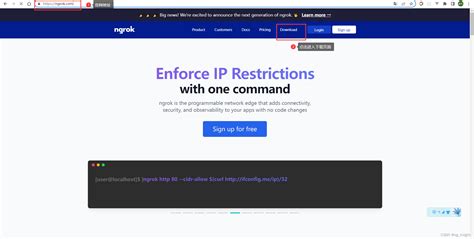 推荐一款免费的内网穿透工具ngrok 免费 ngrok 分享 csdn博客