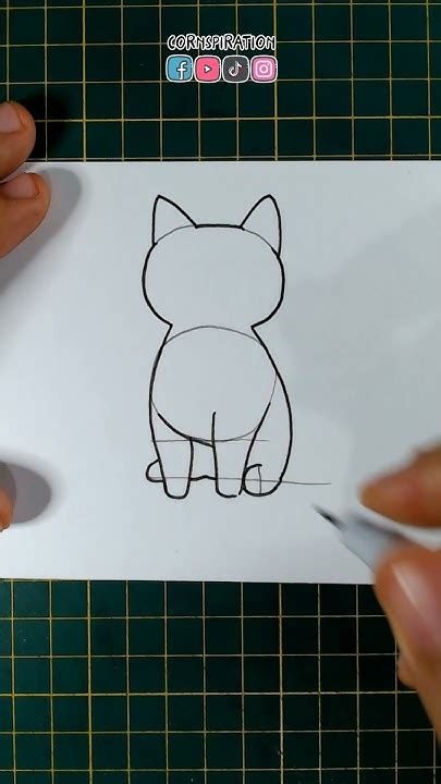 Cómo Dibujar Un Gato 🐱🐈 Youtube