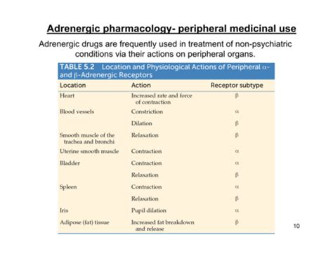 Catecholamines Flashcards Quizlet