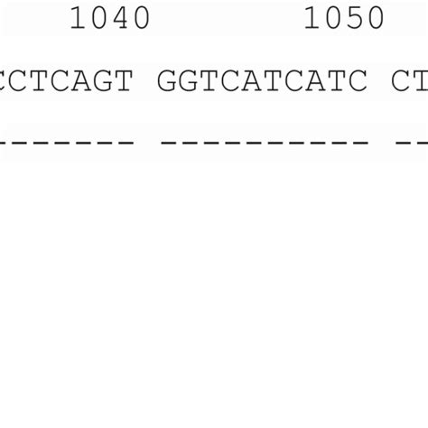 Alignment Of The Exon 7 Sequence Of The Novel Allele Kir3dl101507 With Download Scientific