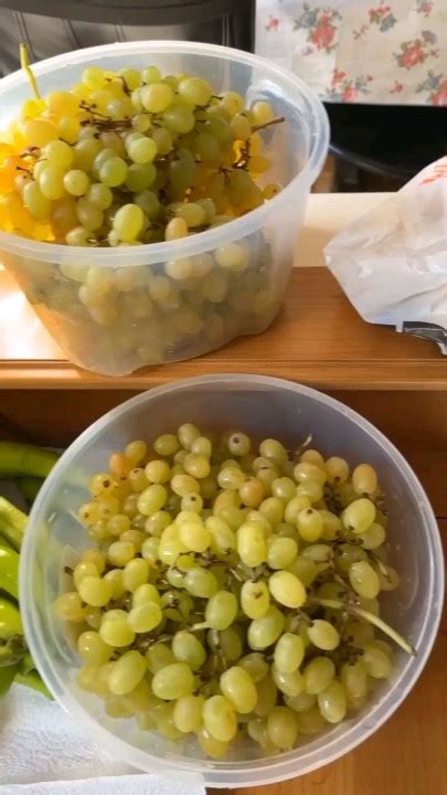 bosphorusiss linkedin‘de etkinliklerimize ev sahipliği yapan bahçemizde bu sefer de gaziantep…