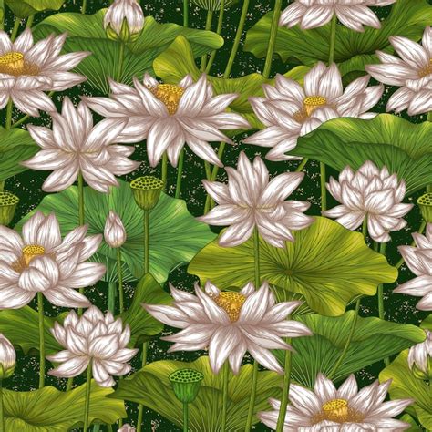 premium vector pattern of lotus flowers