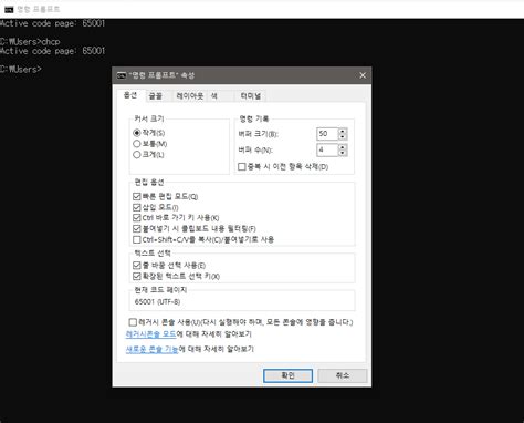 Ms윈도우 Cmd에서 Utf 8 사용하기 개발관련