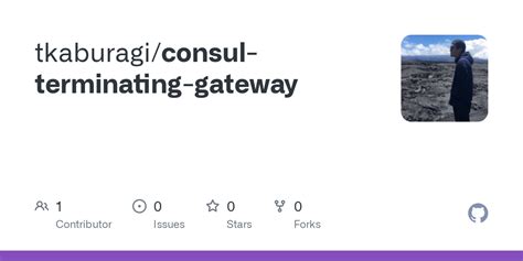 Github Tkaburagiconsul Terminating Gateway