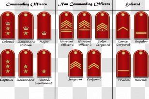 Napoleonic Wars Military Rank British Army Officer Insignia Soldier