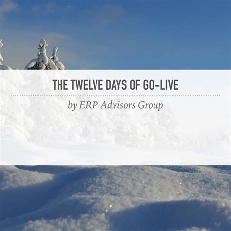 Erp Advisors Group On Linkedin Erpimplementation Softwareconsultant