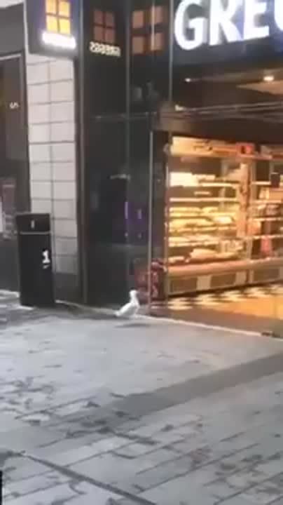 Abubakar Yusuf On Linkedin Ai Artificialintelligence