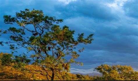 Pixi Js Animation Pixi Js Is A Very Simple To Use Library… By Nia