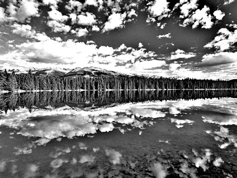 Кафе трапезная Antipa Друзья рады представить вам новый напиток нашего летнего меню «Куркума