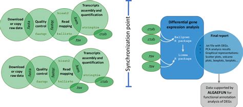 workflow of the automatic pipeline for the analysis of rna seq data in
