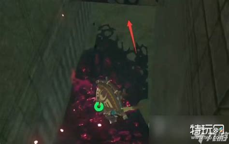 《塞尔达传说王国之泪》南洛美岛迷宫攻略 特玩网