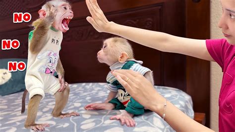 What Did Pipi Do That Made Titi So Scared Youtube