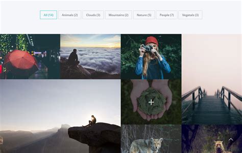 The Grid Review Create Custom Grid Layouts To Display Your Content