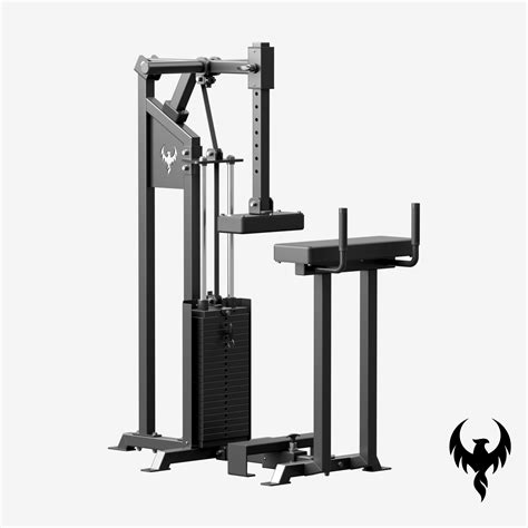 Bilateral Lat Pull Down Adjustable Phoenix Strength