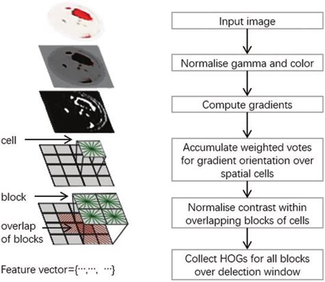 calculation process of hog download scientific diagram