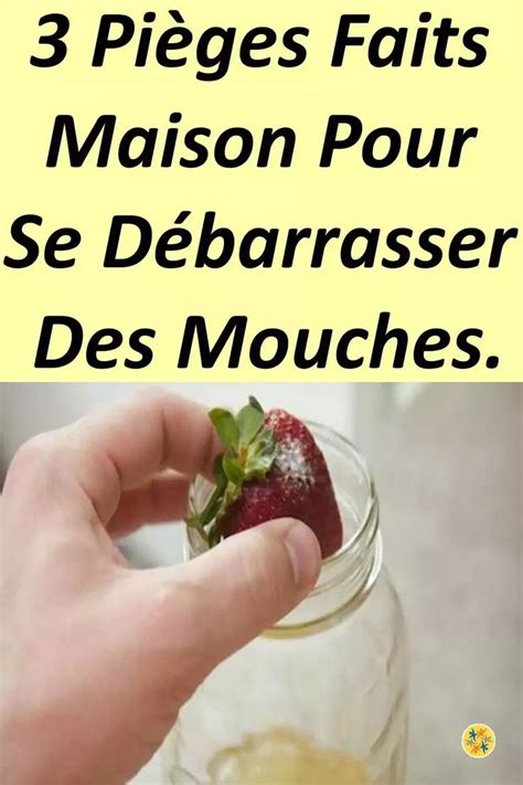 12 упражнений с собственным весом которые заменят полноценную тренировку Идеи для дома Для