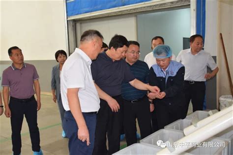 临沂市委常委、副市长隽新阳一行来我司调研中医药产业发展工作 新闻中心 山东中平药业有限公司