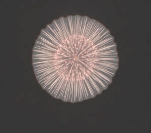 Local Dimming Vs Full Array Which One Is Better Quick Answer