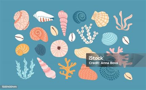 조개껍데기 산호 조류가 파란 배경에 있다 손으로 그린 다채로운 그림 벡터 해저 세트입니다 플랫 만화 스타일 여름 휴가 컬렉션
