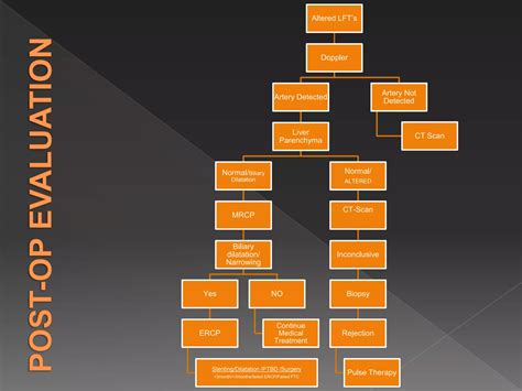 Liver Imaging Ct Scan Algorithm Pptx Lung And Respiratory Health