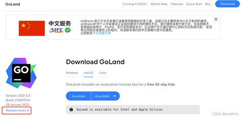 【goland】软件常规更新cannot Use Err Type Error As The Type Any Csdn博客
