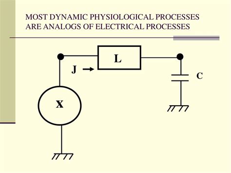 Ppt Relational Systems Theory An Approach To Complexity Powerpoint Presentation Id 5575037