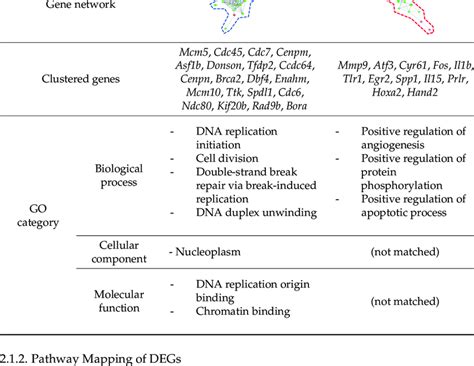 functional annotation of clustered degs by david in figure 2e