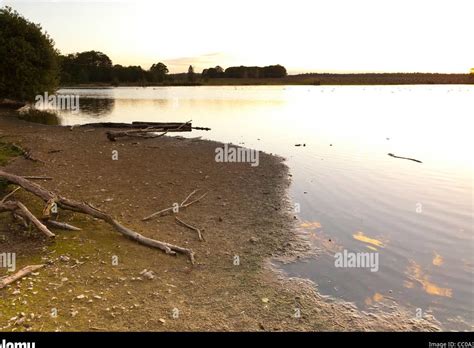 ¿qué Significa Soñar Con Un Río De Lodo Un Análisis De Los Significados Y Simbolismos