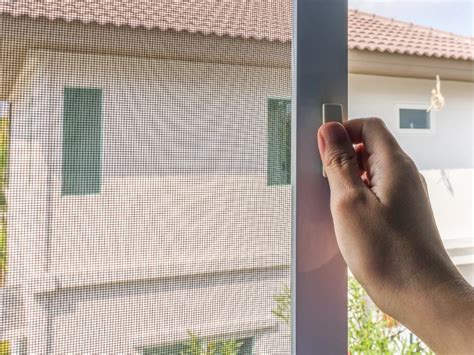 Why Mosquito Netting Is Important For Families Spectra Blinds