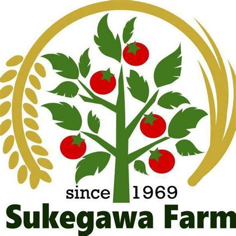 農事組合法人 菊田の郷 助川農園 親バカトマト Iwaki Shi Fukushima
