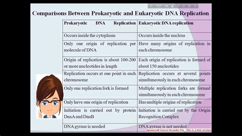 Differences Between Prokaryotes Eukaryotes