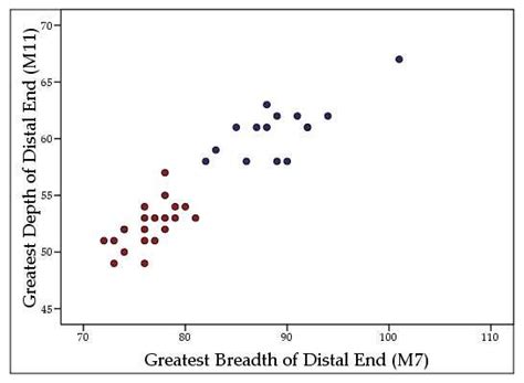 Figure E3 Sex Analysis Scatter Plot For The Radius Ulna Using