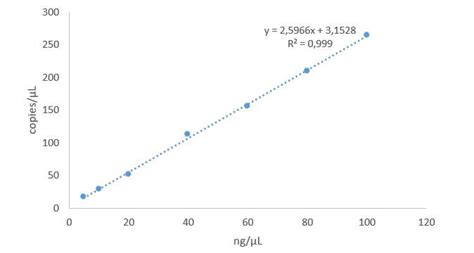 Relationship Between Dna Content And Copy Number Of Transgenic Soybeans Download Scientific