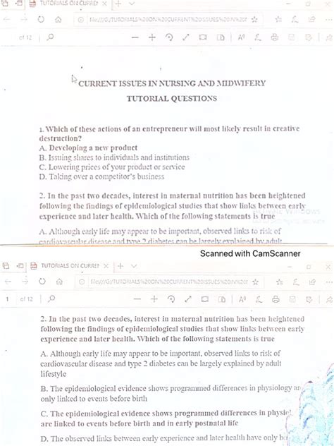 currency issue pdf