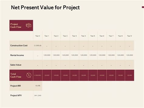 Net Present Value For Project Ppt Powerpoint Presentation Pictures Vector Powerpoint Slide
