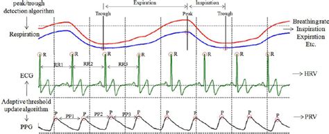 The Characteristic Values Of Ecg Ppg And Respiration Signal Hrv And