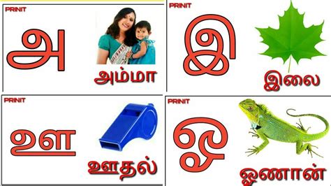 Uyir Ezhuthukal Learn Tamil Alphabets அ அம்மா 🤱 ஆ ஆடு 🐐 அ ஆ இ ஈ உயிர் எழுத்துக்கள்