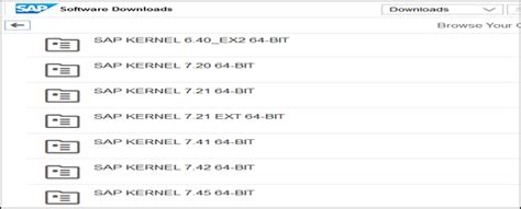 simple about sap basis sap basis upgrade kernel patching
