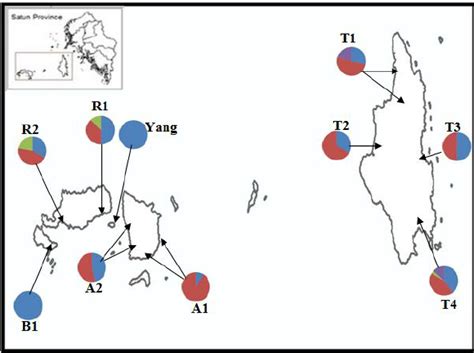 Map Of Species Richness Relative Abundance Represented By The