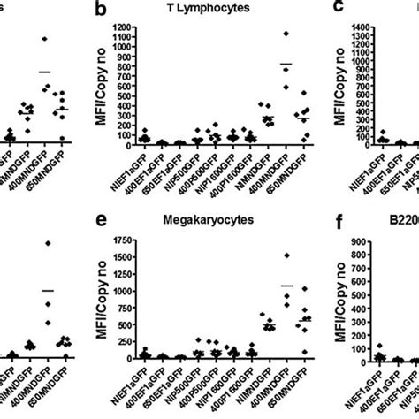 Gfp Expression In Various Lineages From Primary Bone Marrow As Download Scientific Diagram
