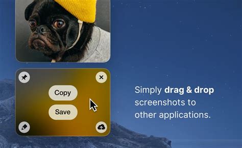 Articulate Storyline Alternatives And Similar Software Alternativeto