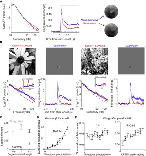 Predictive Coding Of Natural Images By V1 Firing Rates And Rhythmic